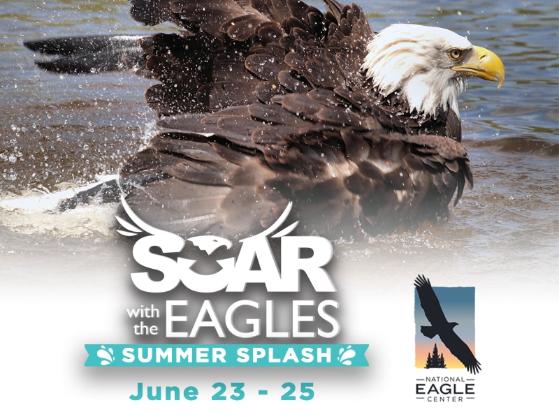 Eagles Summer Tour